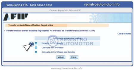 Formulario Ceta AFIP 2023 ¿Cómo sacarlo paso a paso?