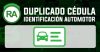 Duplicado de cédula verde Automotor con Turno DNRPA.